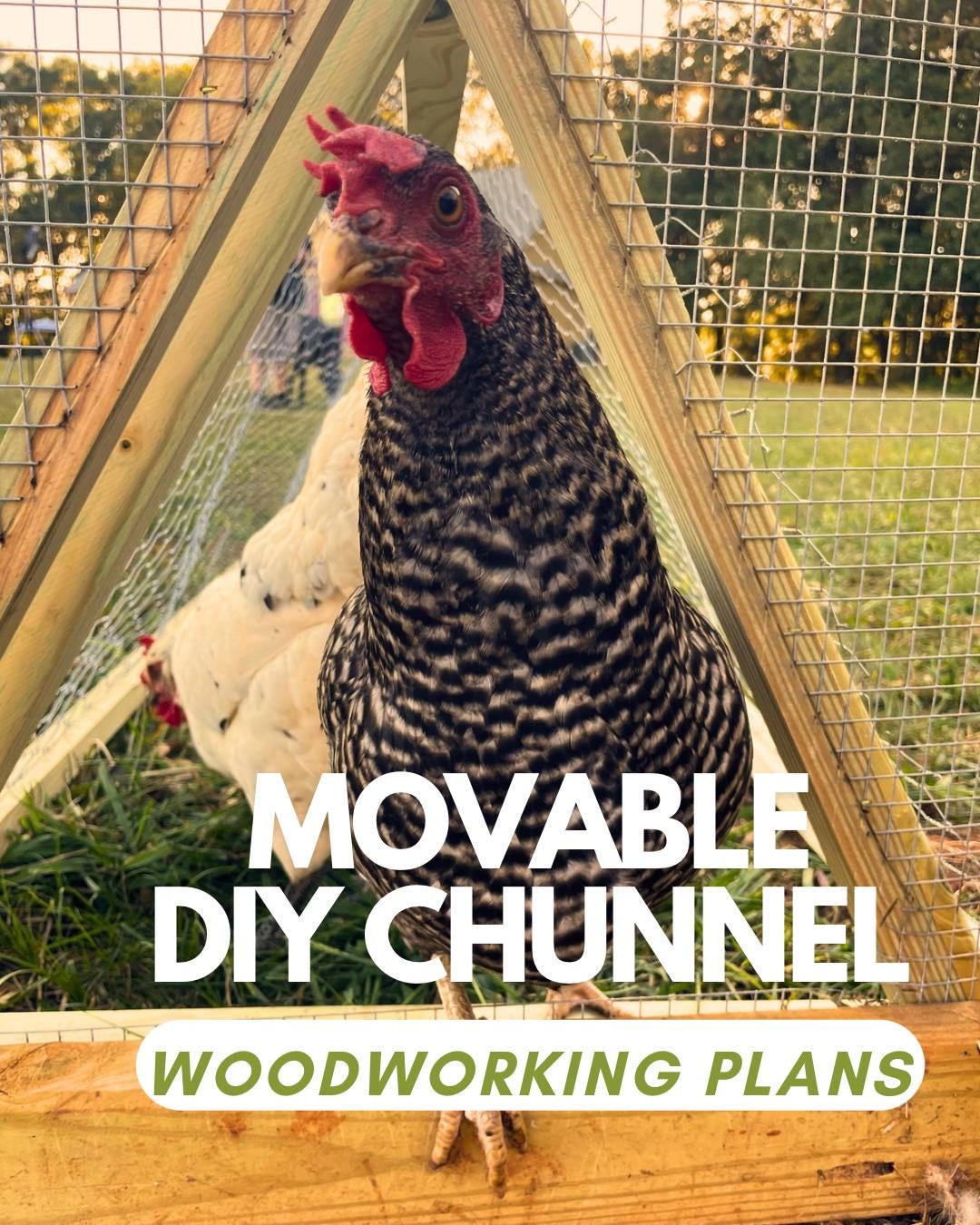 Chicken Chunnel Woodworking Plans: Movable Coop Tunnel (digital ...