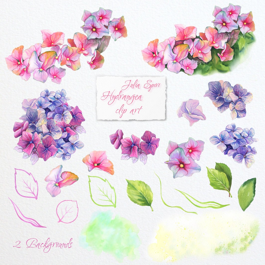 Watercolor Hydrangea Flowers Clipart Handpainted Elements | Etsy
