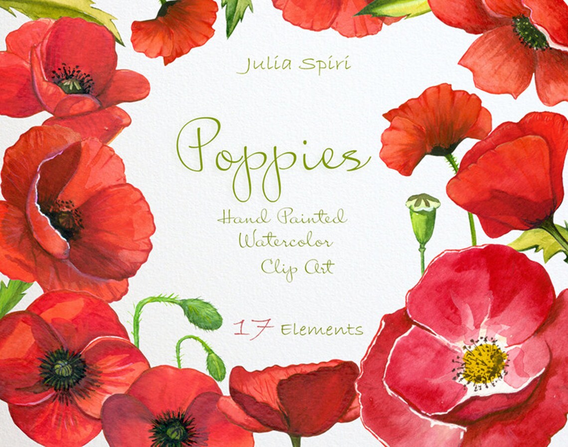 Watercolor Poppies Flowers Clipart Poppy Hand Painted - Etsy