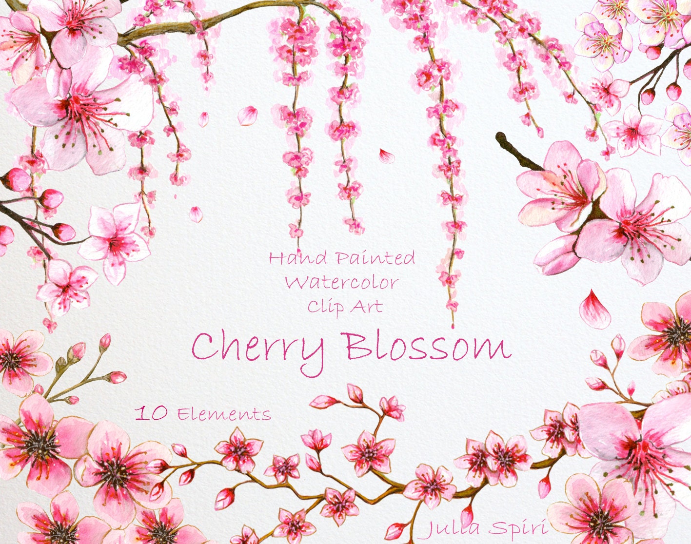 Watercolor Flowers Clipart, Cherry Blossom Hand Painted, Watercolor ...