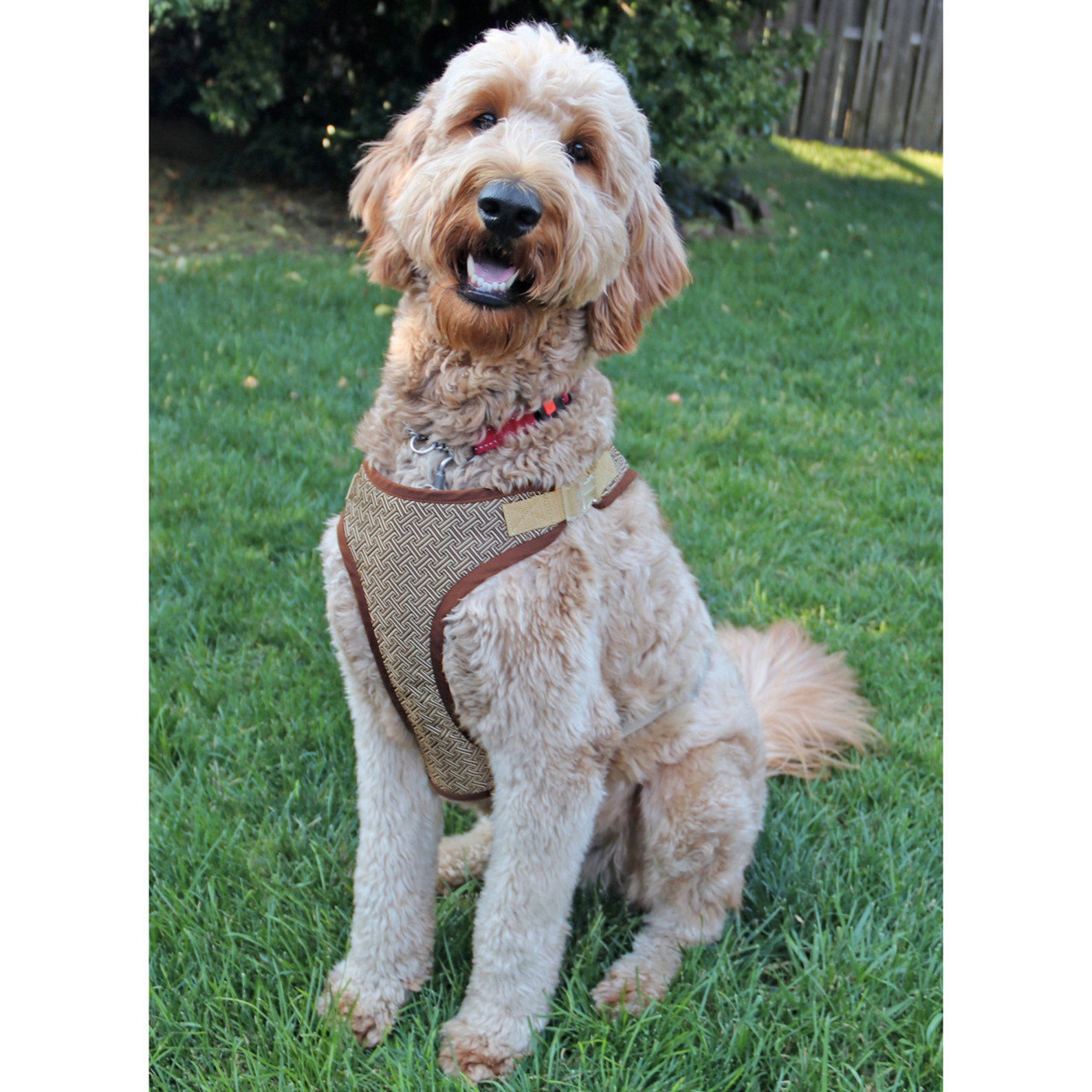 Dog Harness and Leash With Trim Options Simplicity Sewing Pattern S9664 ...