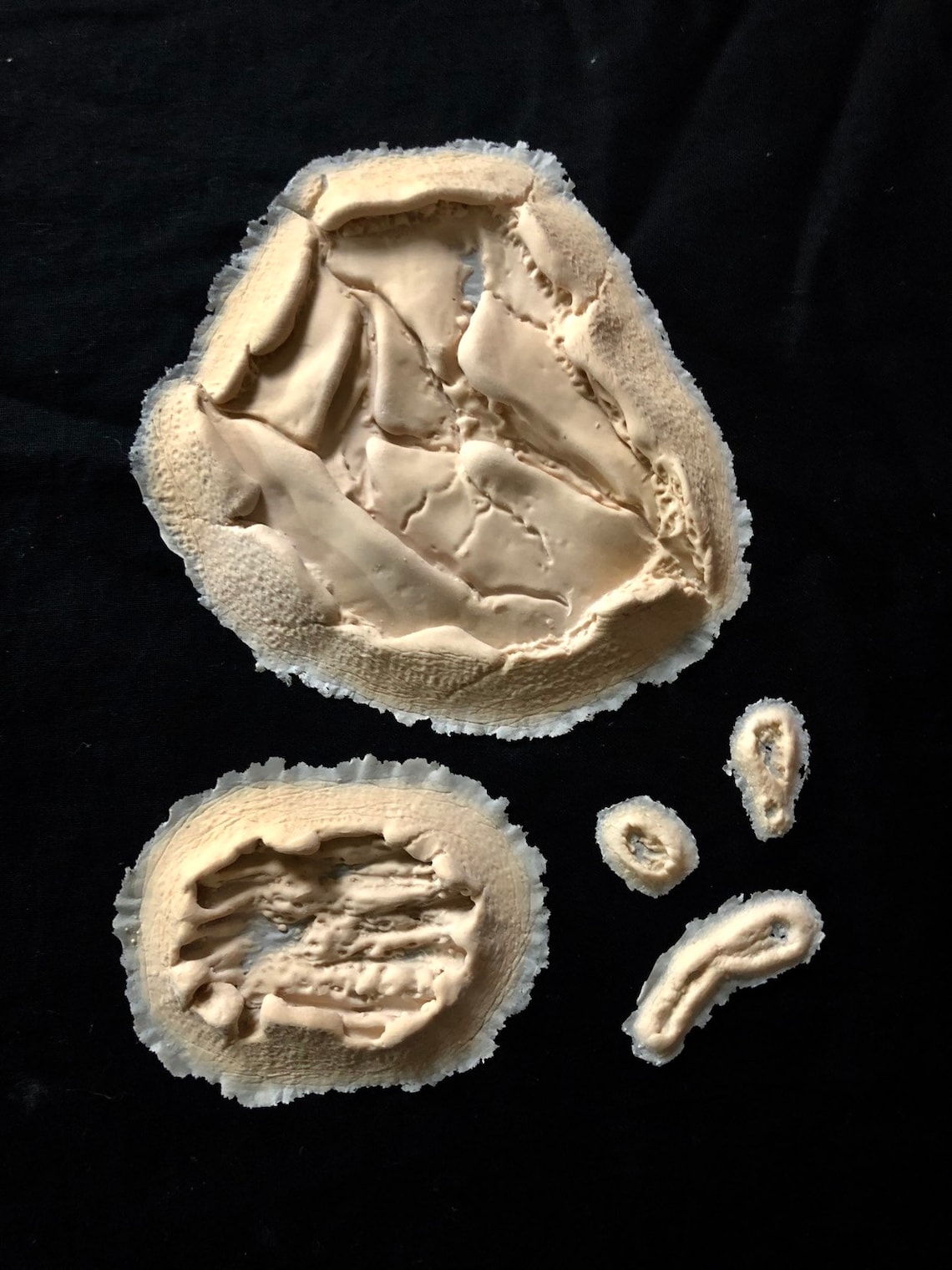 Zombie Gore Pack Foam Latex Prosthetics UNPAINTED Mature - Etsy