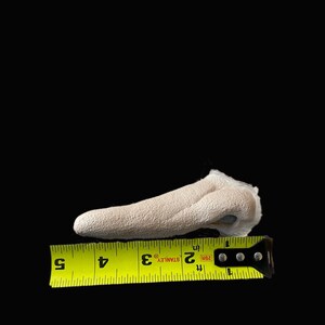 Jester Nose - Foam Latex Prosthetic (UNPAINTED) - Etsy