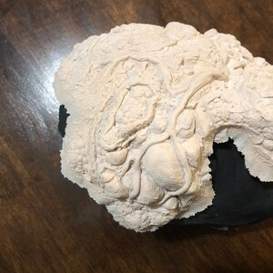 Mutant Zombie - Foam Latex Prosthetic (UNPAINTED) - Etsy