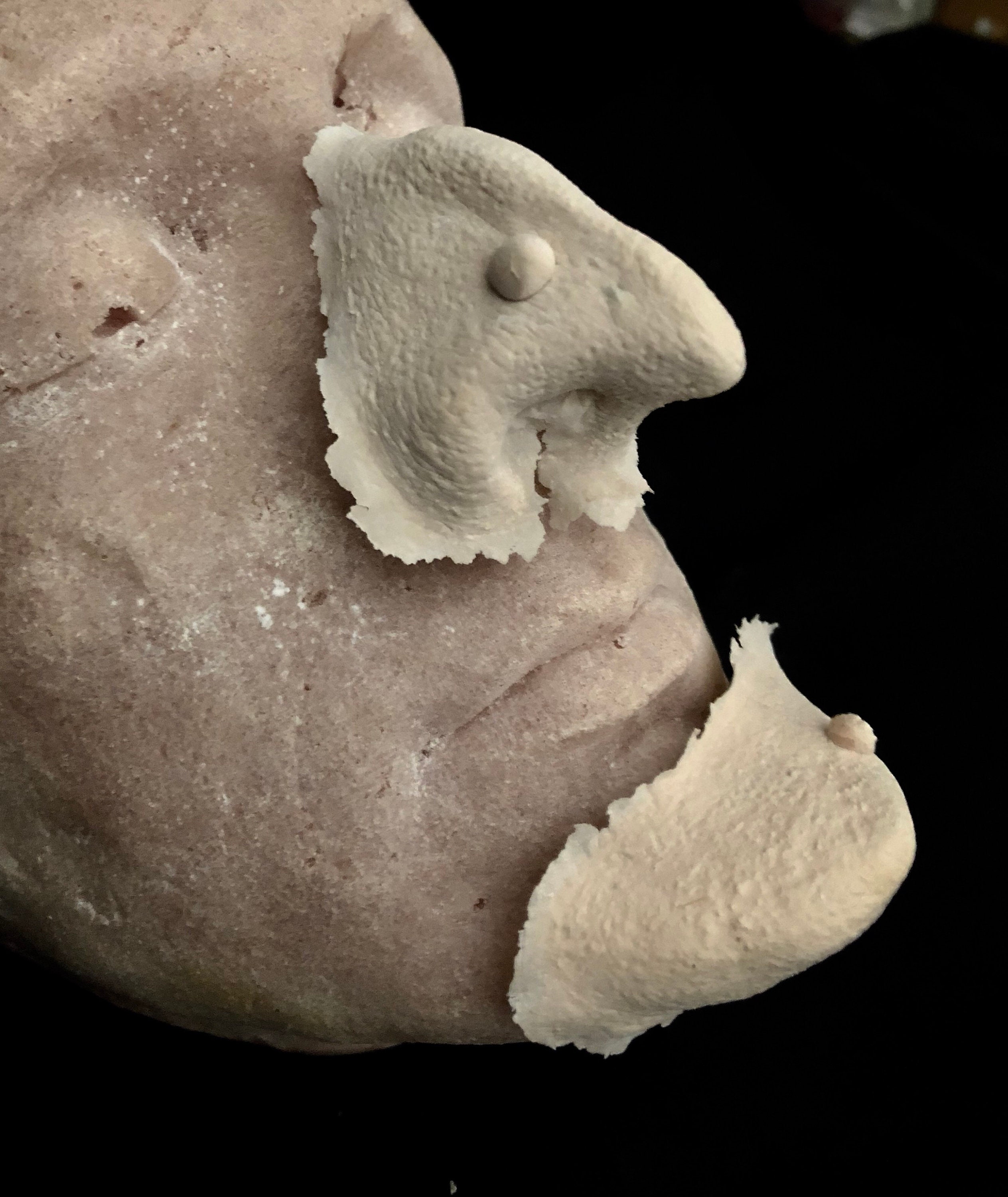 Witch Nose and Chin - Foam Latex Prosthetic (UNPAINTED) - Etsy