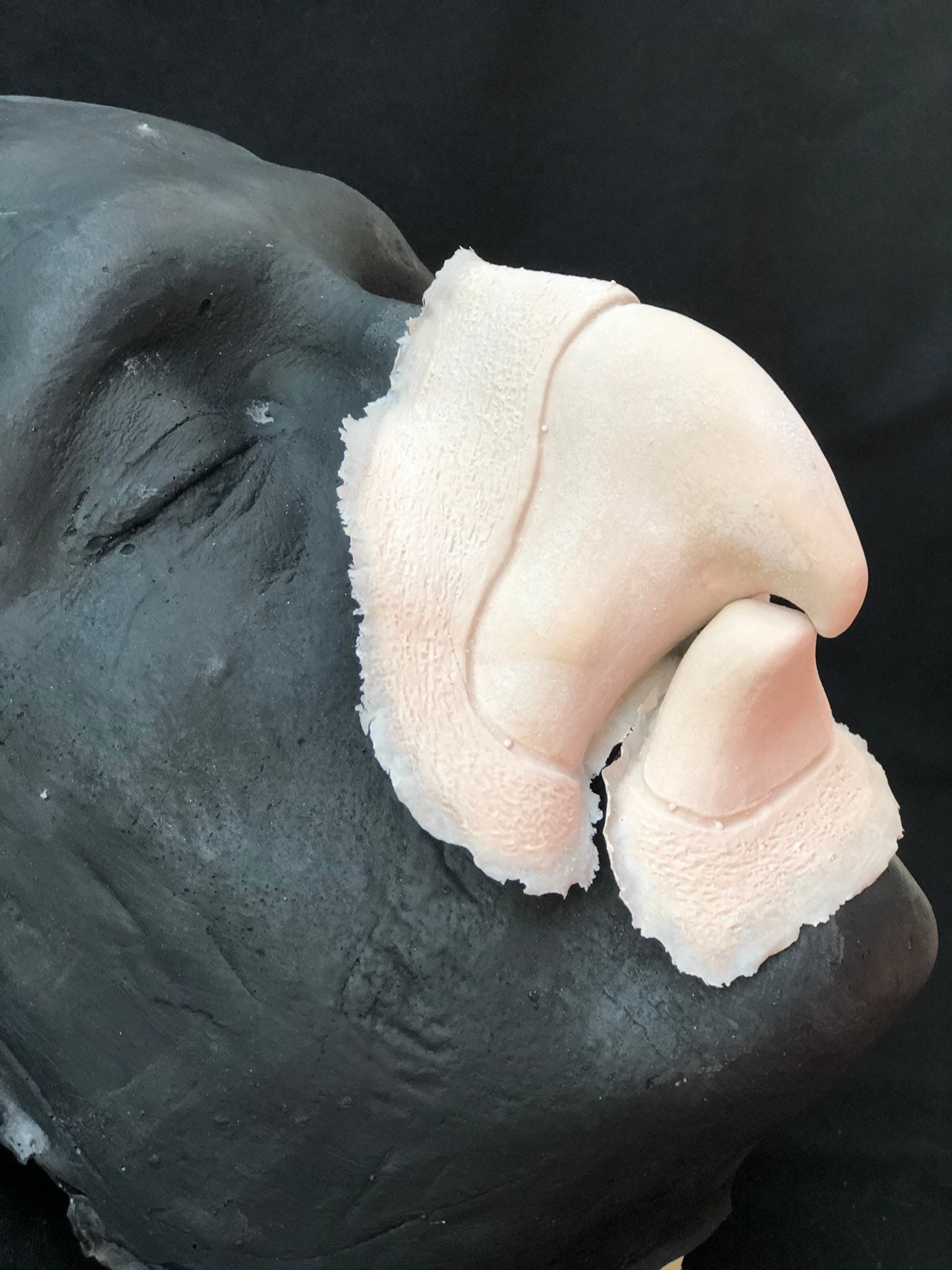 Bird Beak Foam Latex Prosthetics UNPAINTED - Etsy New Zealand