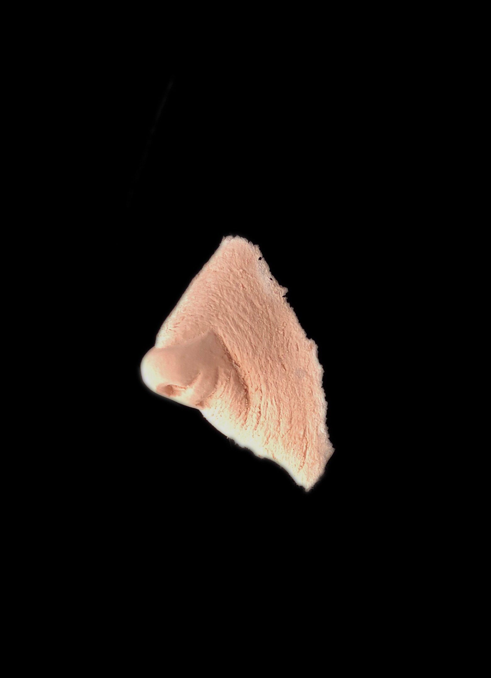 Werewolf Nose Foam Latex Prosthetic UNPAINTED - Etsy UK