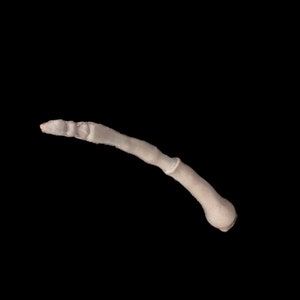 Insect - Foam Latex Prosthetic (UNPAINTED) - Etsy