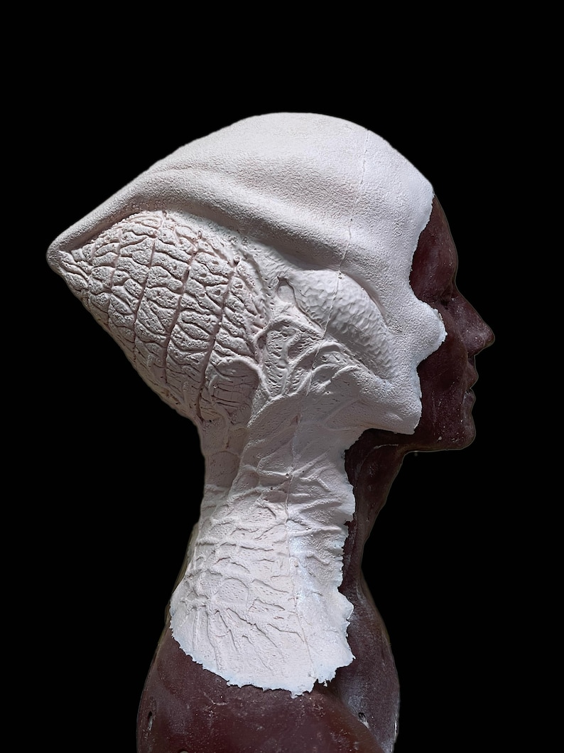 Alien Cowl Foam Latex Prosthetic UNPAINTED - Etsy