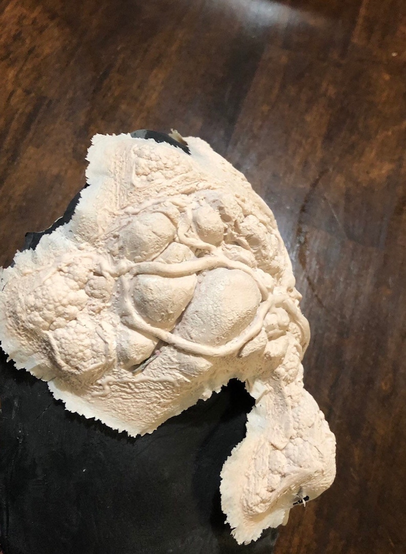 Mutant Zombie - Foam Latex Prosthetic (UNPAINTED) - Etsy