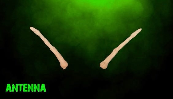 Mantis Antenna Prosthetics - Etsy
