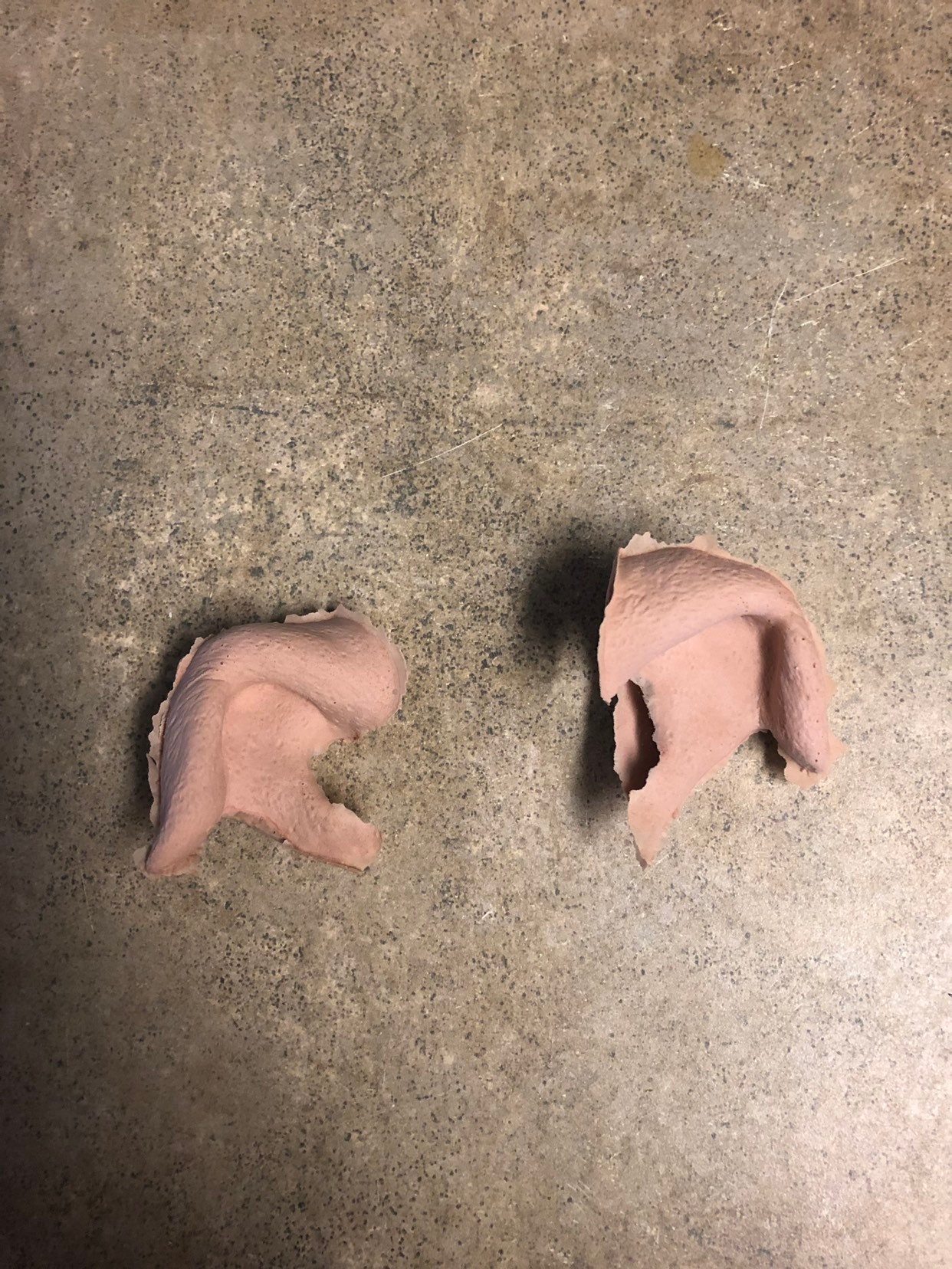 Pig Ears UNPAINTED | Etsy