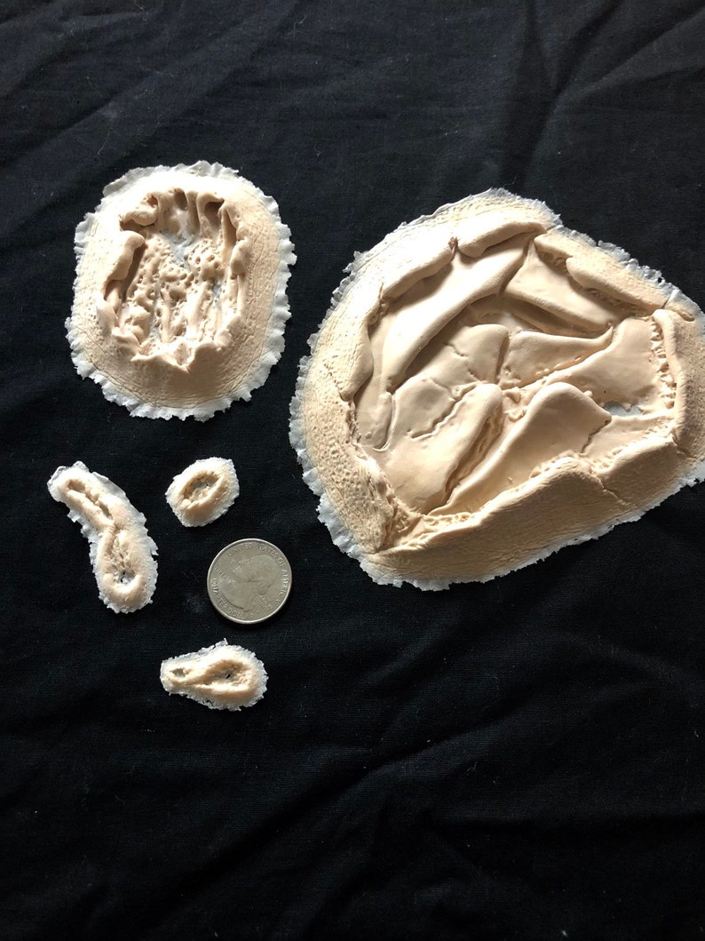 Zombie Gore Pack Foam Latex Prosthetics UNPAINTED Mature - Etsy