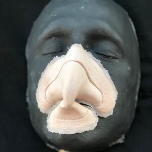 Bird Beak - Foam Latex Prosthetics (UNPAINTED) - Etsy