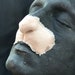 Cat / Faun Nose - Foam Latex Prosthetic (UNPAINTED) - Etsy