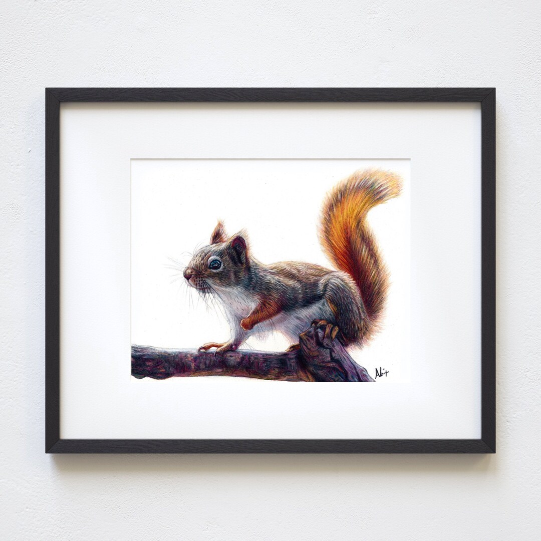 5x7 Squirrel Colored Pencil Print - Etsy