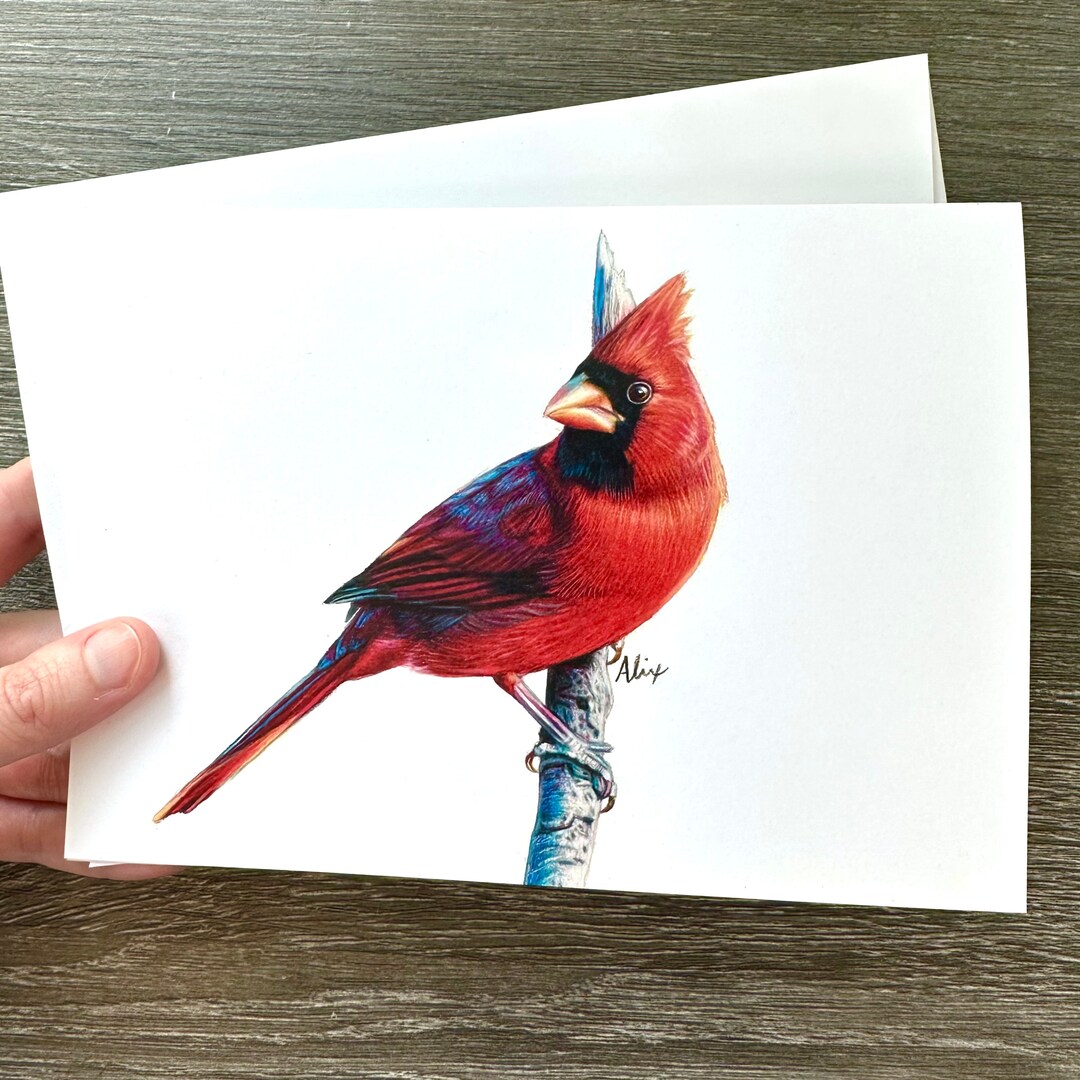 Cardinal Greeting Cards 4 Pk Boxed Set - Etsy