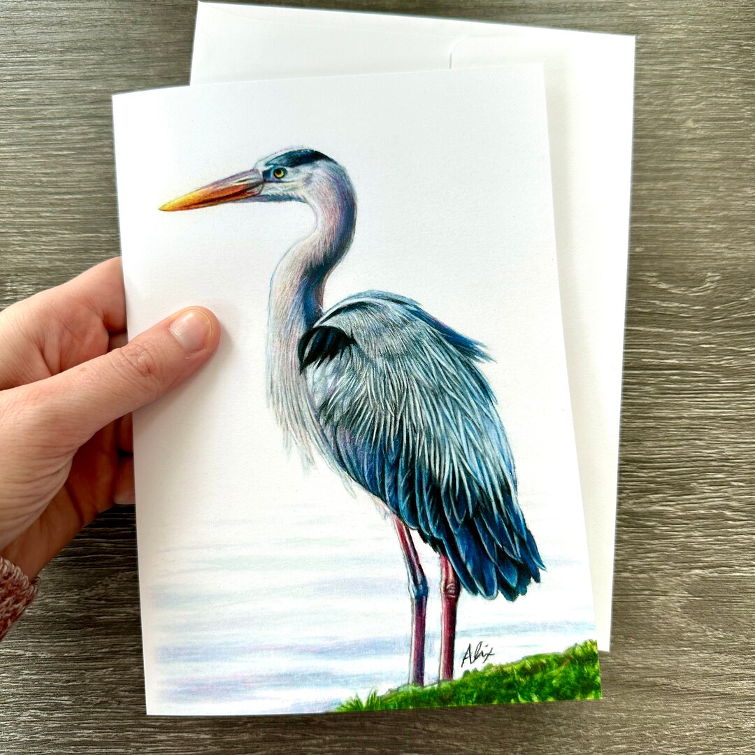 Blue Heron Greeting Cards 4 Pk Boxed Set - Etsy