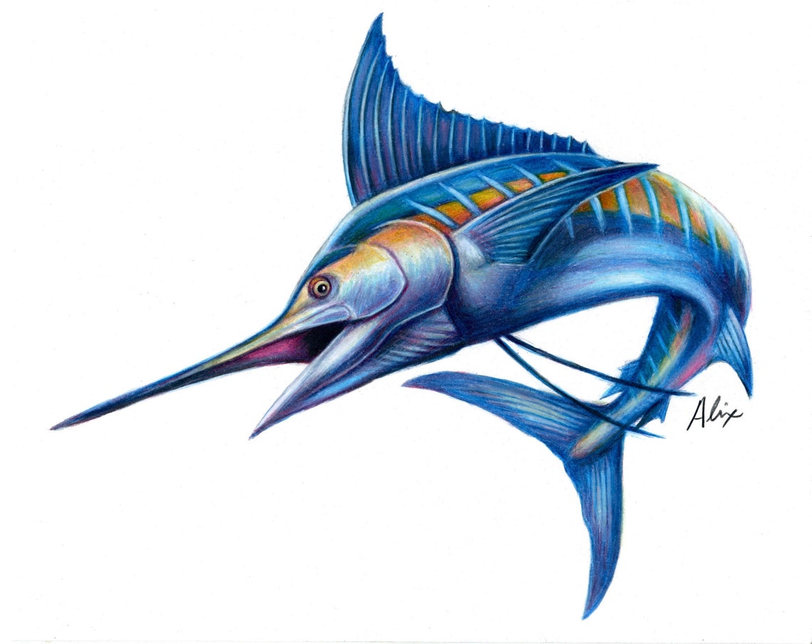 ORIGINAL Blue Marlin Colored Pencil Drawing - Etsy