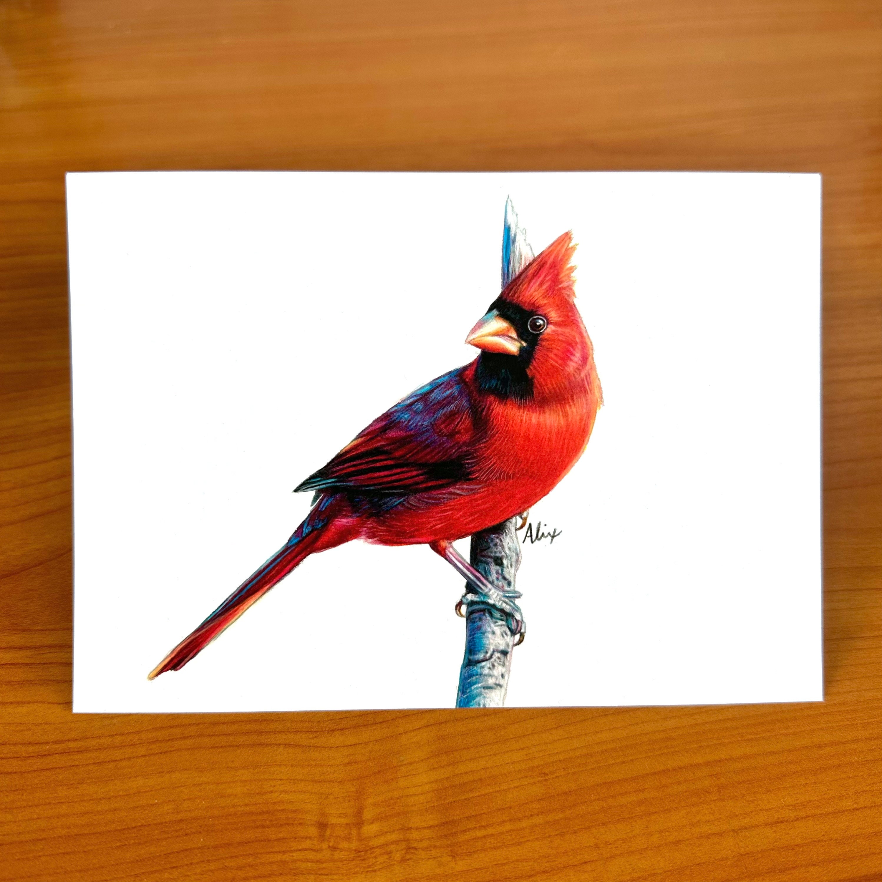 Cardinal Greeting Cards 4 Pk Boxed Set - Etsy