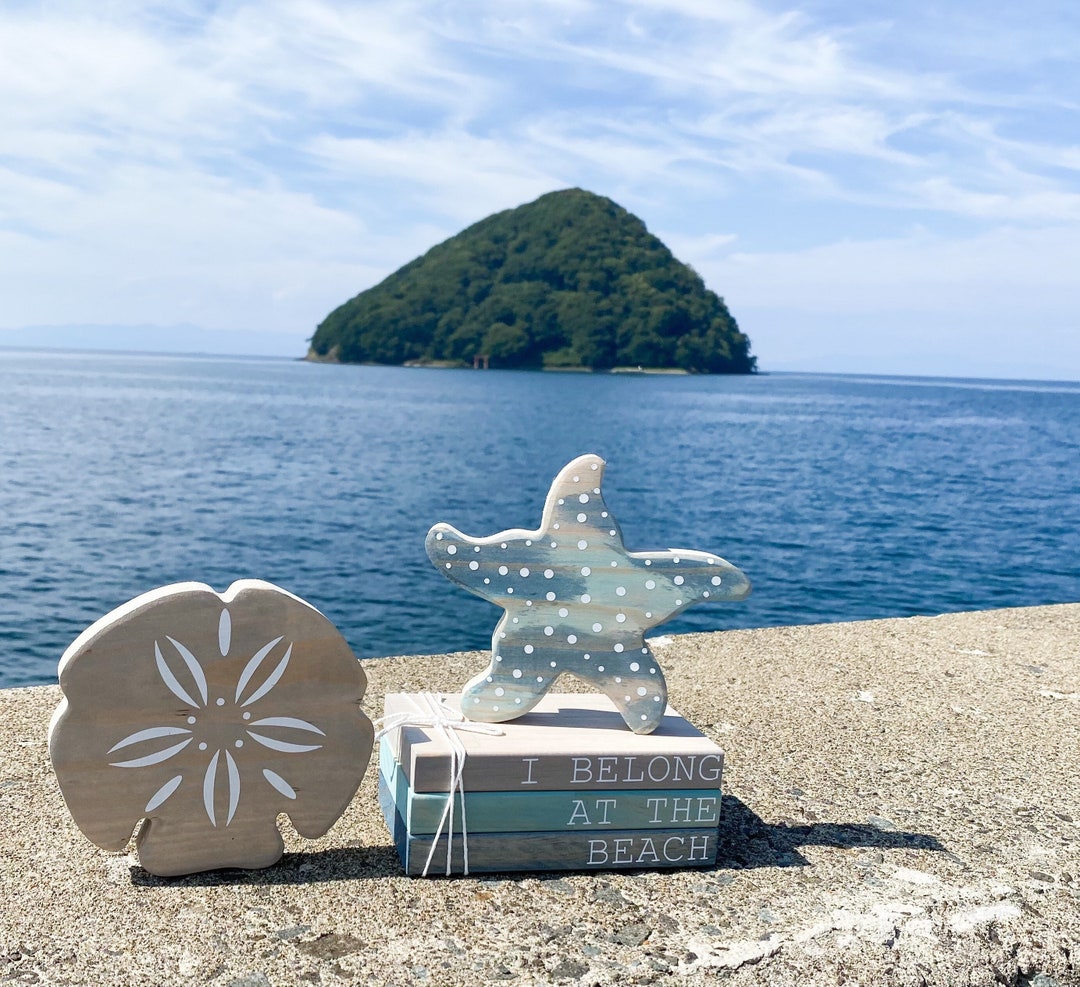 Beach Themed Decor - Beach Themed Books - Sand Dollar - Starfish ...