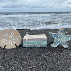Beach Themed Decor - Beach Themed Books - Sand Dollar - Starfish ...