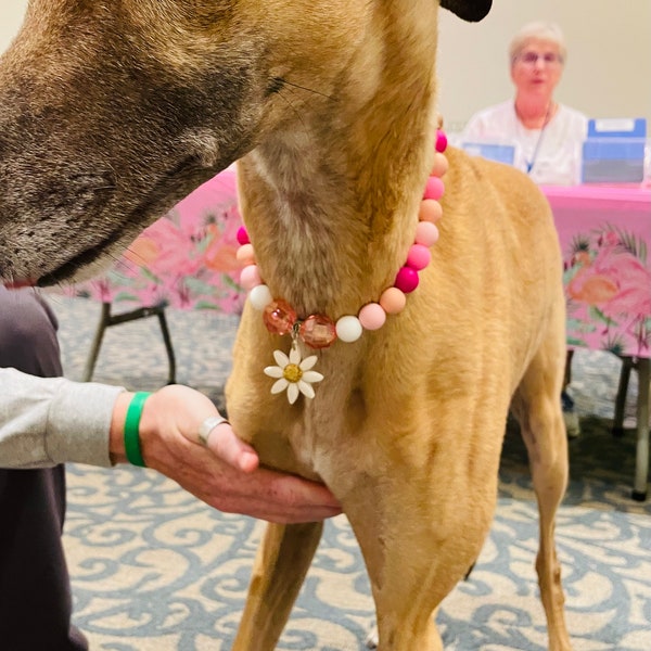 Jewelry for Dogs - Etsy