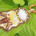 Big Shell Necklace Embroidered Unique Artistic Necklace - Etsy