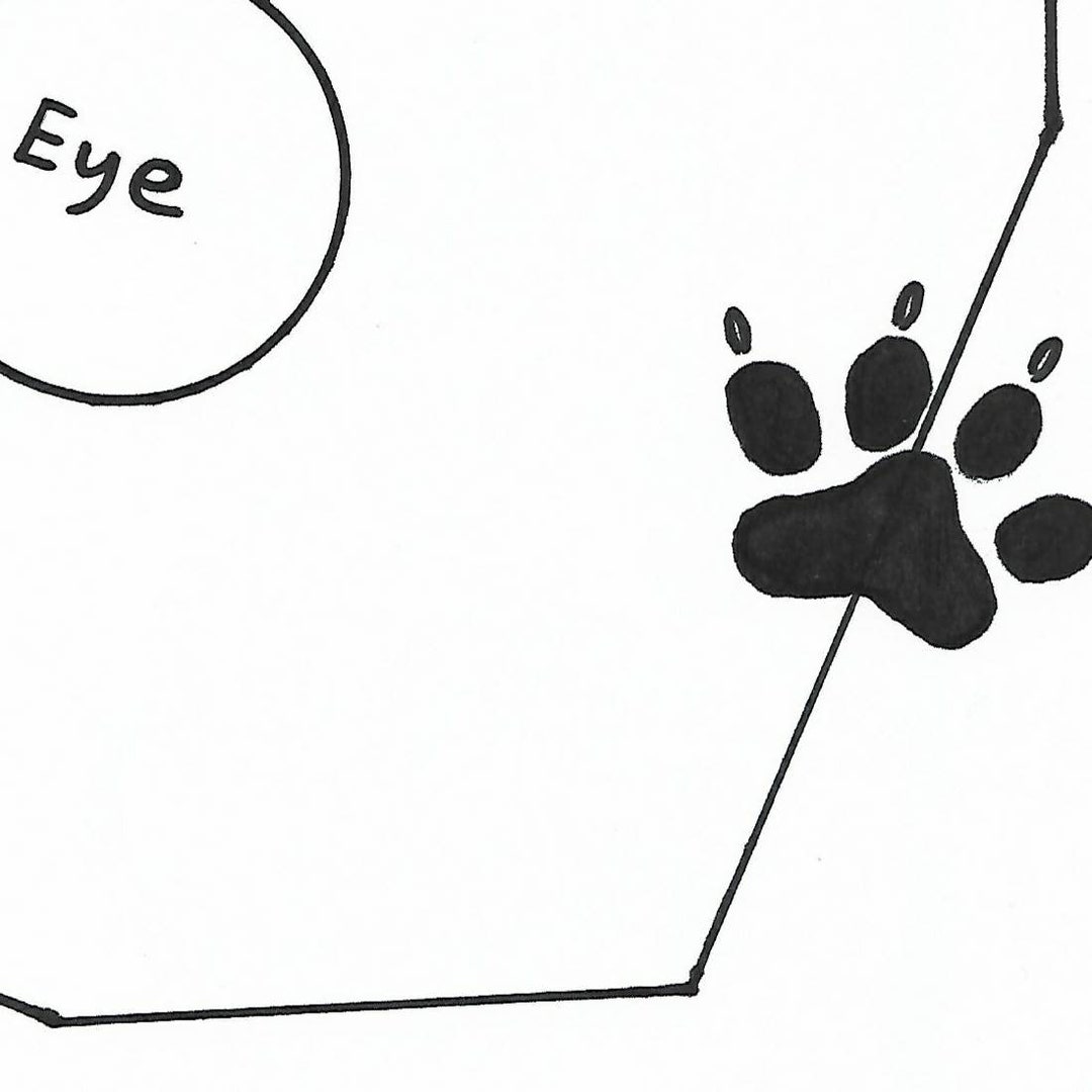 Wolf Fursuit Head Base Pattern With Instructions - Etsy