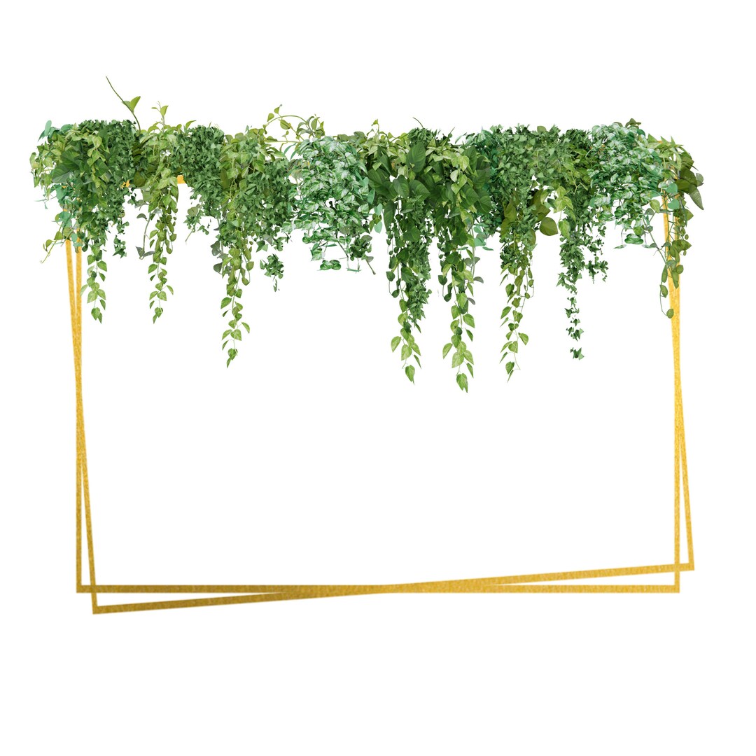 Gold Square Frames Green Vine Leaves Png Jpg Printable - Etsy