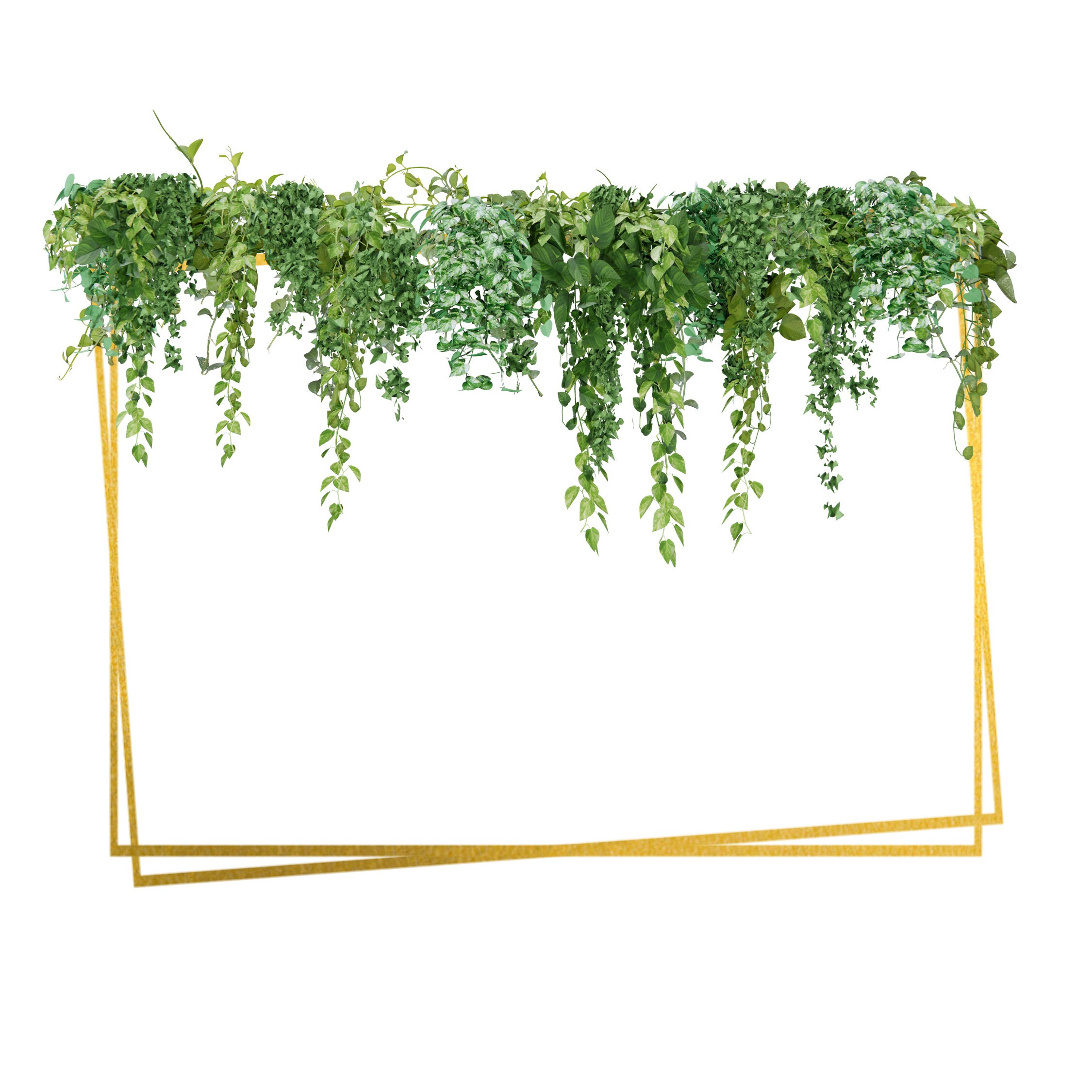 Gold Square Frames Green Vine Leaves Png Jpg Printable - Etsy