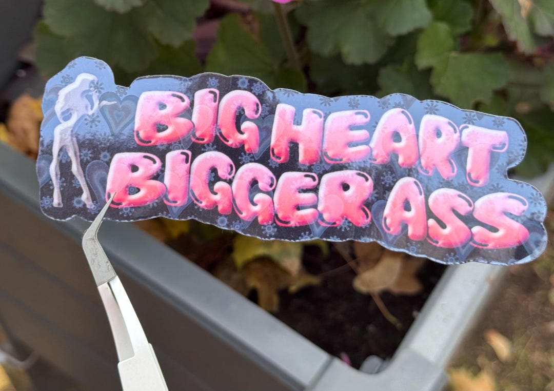 Big Heart Bigger Ass Cute Holographic Hearts Sticker - Etsy