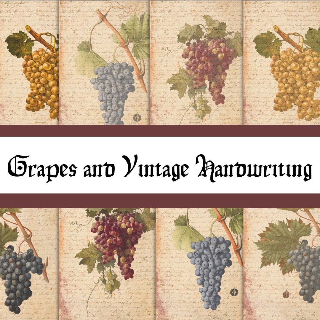 Grapes and Vintage Handwriting Paper for Scrapbooking Junk Journaling ...