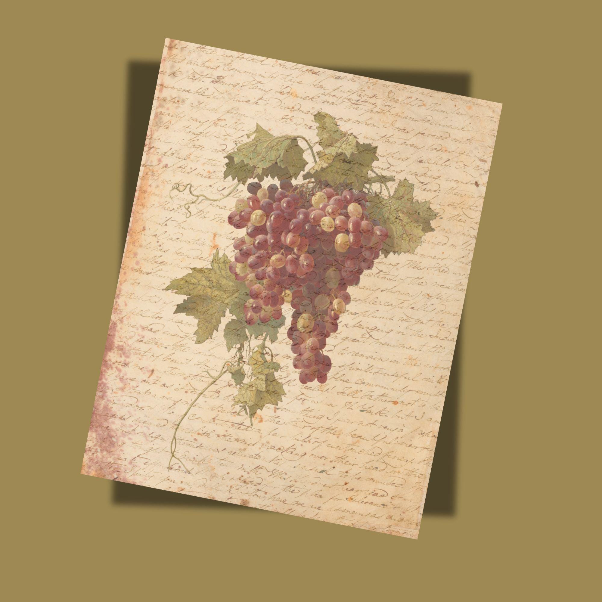 Grapes and Vintage Handwriting Paper for Scrapbooking Junk Journaling ...