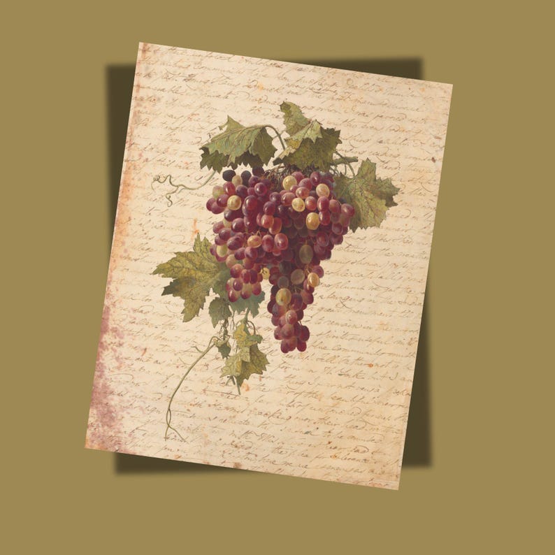 Grapes and Vintage Handwriting Paper for Scrapbooking Junk Journaling ...