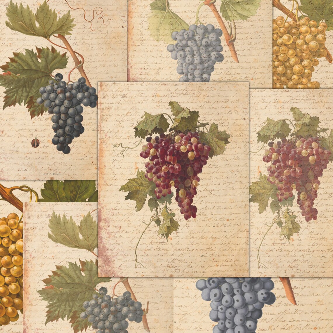 Grapes and Vintage Handwriting Paper for Scrapbooking, Junk Journaling ...