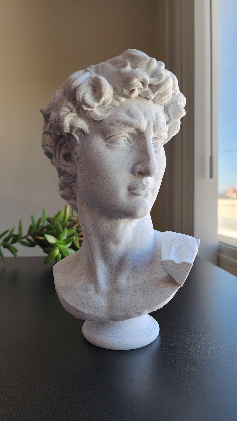 David Head Bust Statue, Renaissance Sculpture, 3D Printed Art ...