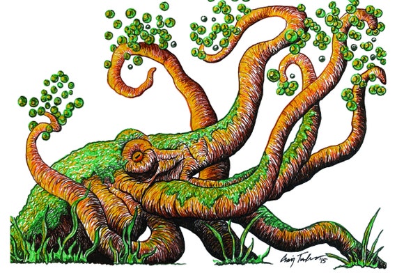 Octopus Tree Art