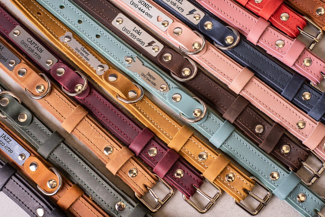 Leather Dog Collar, Engraved Name Plate, Custom Pet Collar - Etsy