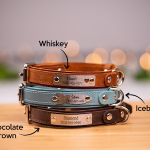 Personalized Engraved Dog Collar, Leather Dog Collar, Engraved Dog ...