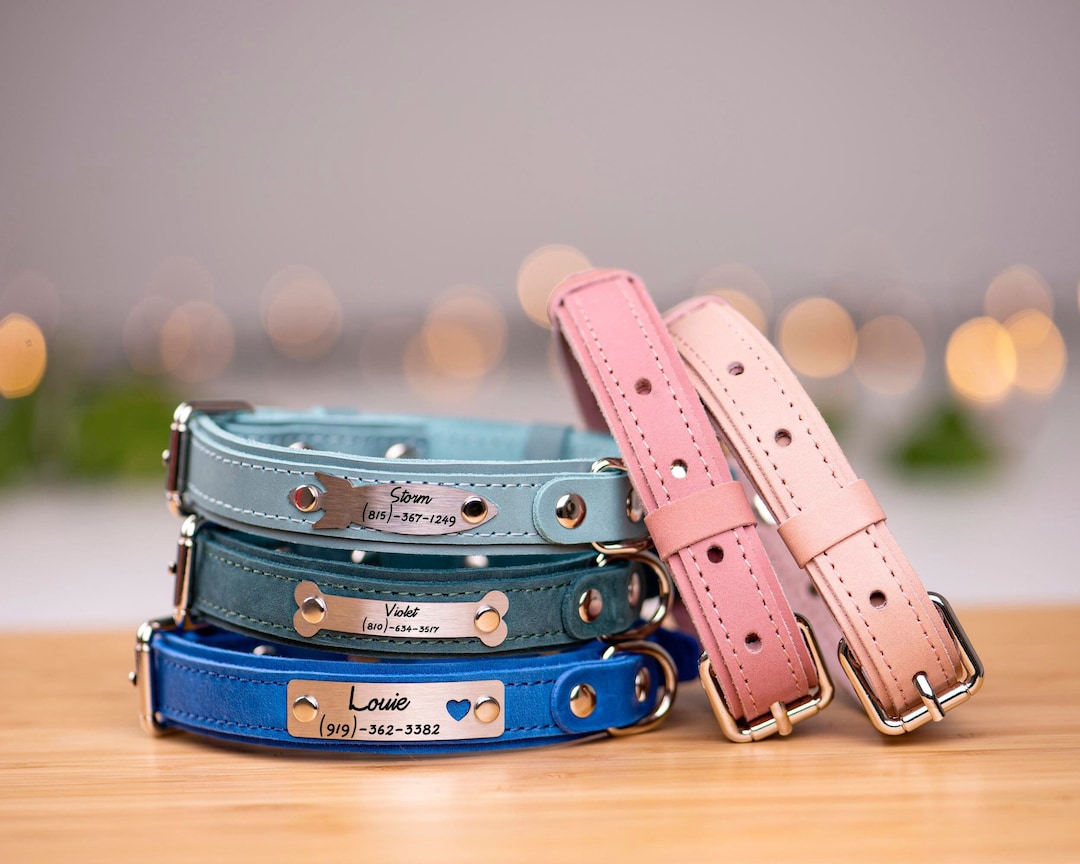 Personalized Dog Collar, Engraved Dog Collars, Custom Dog Collar ...