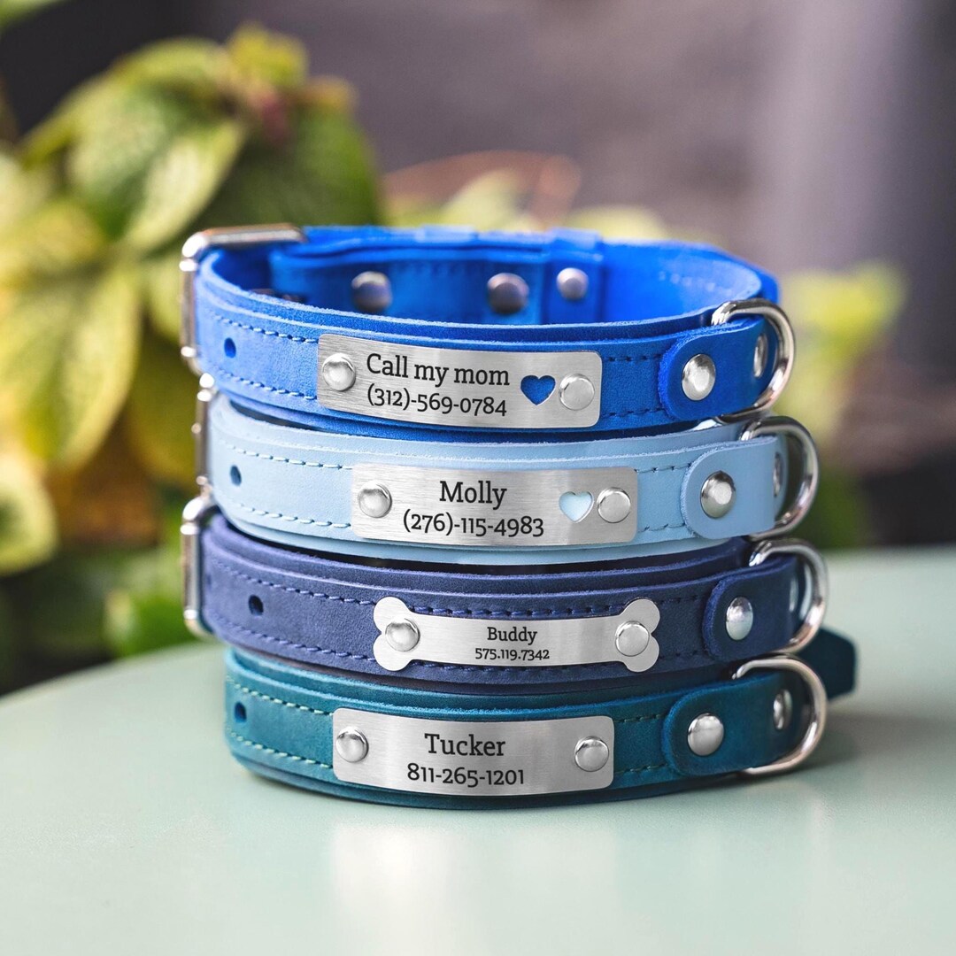 Riveted Leather Dog Collar With Stainless ID Plate — Laser Engraved ...
