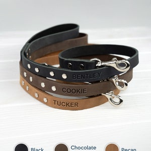 Personalized Leather Dog Leash: Engraved Pet Name, Heavy Duty - Etsy