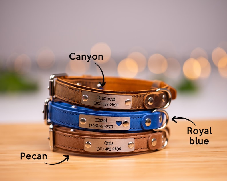 Personalized Dog Collar Leather Dog Collar With Name - Etsy