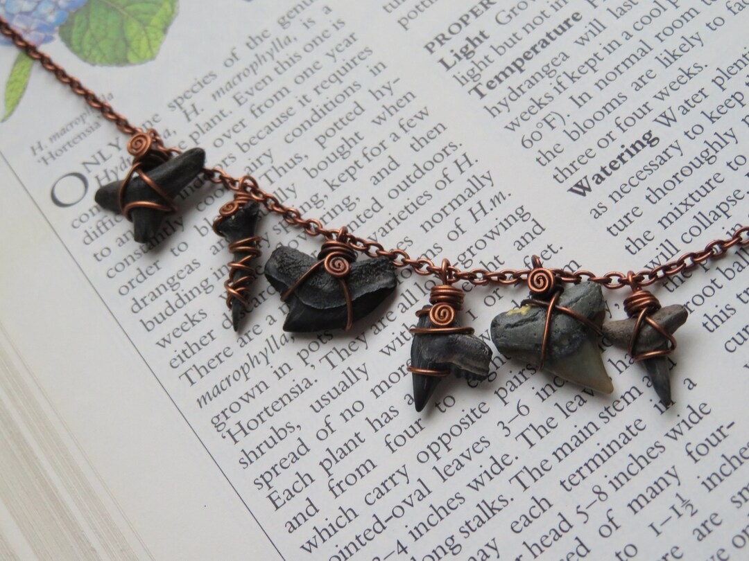 Fossilized Shark Teeth Necklaces, Copper Shark Teeth Necklace, Wire ...