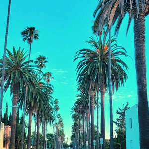 Malibu California, Palm Trees, Turquoise Aqua Blue, Summer in Malibu ...