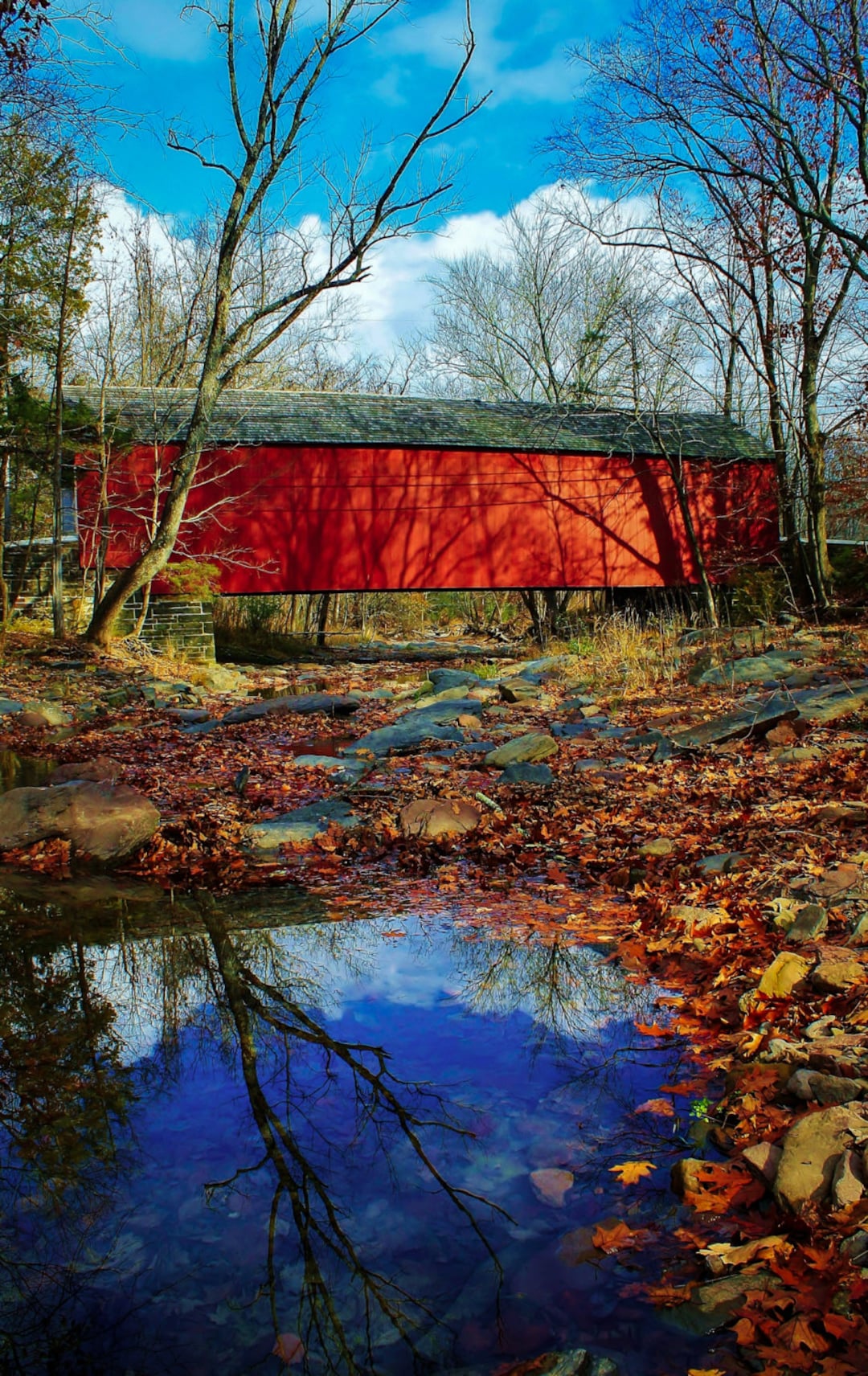 Covered Bridge Print,fine Art Photograph,pennsylvania Art,bucks County ...