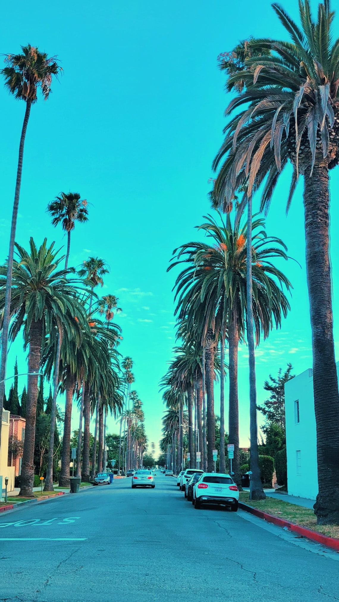 Malibu California, Palm Trees, Turquoise Aqua Blue, Summer in Malibu ...