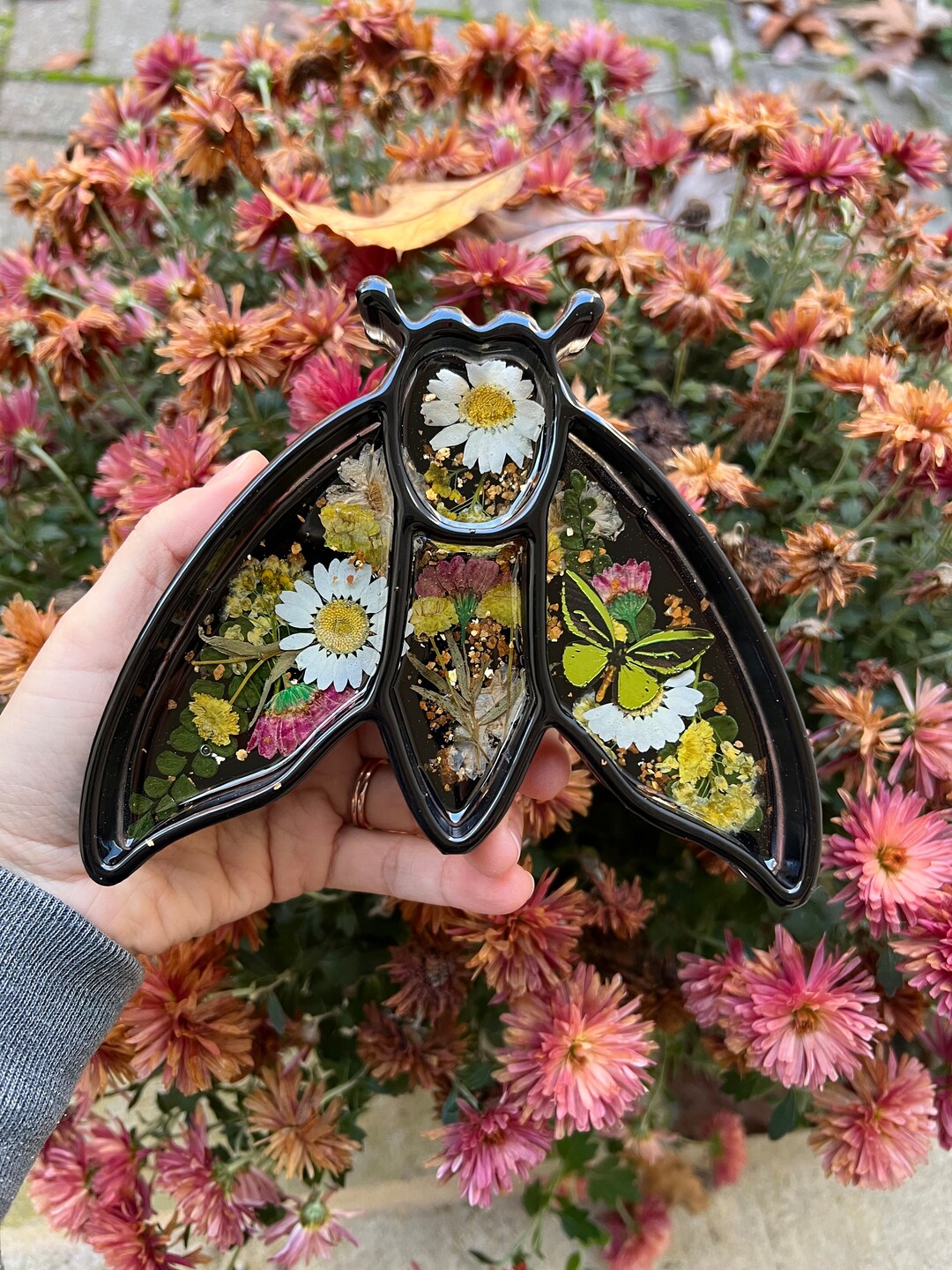 Mini Moth Shelf, Moth Tray, Moth Shelf, MINI Shelf, Moths, Floral ...