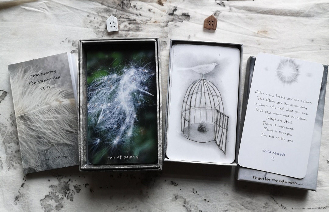 Remembering the Sweet Fool Tarot + a Wee Star in the Forest of Precious ...